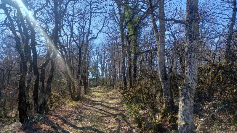 Circuit VTT n°25 Le Bonnan - Tarn pleine nature