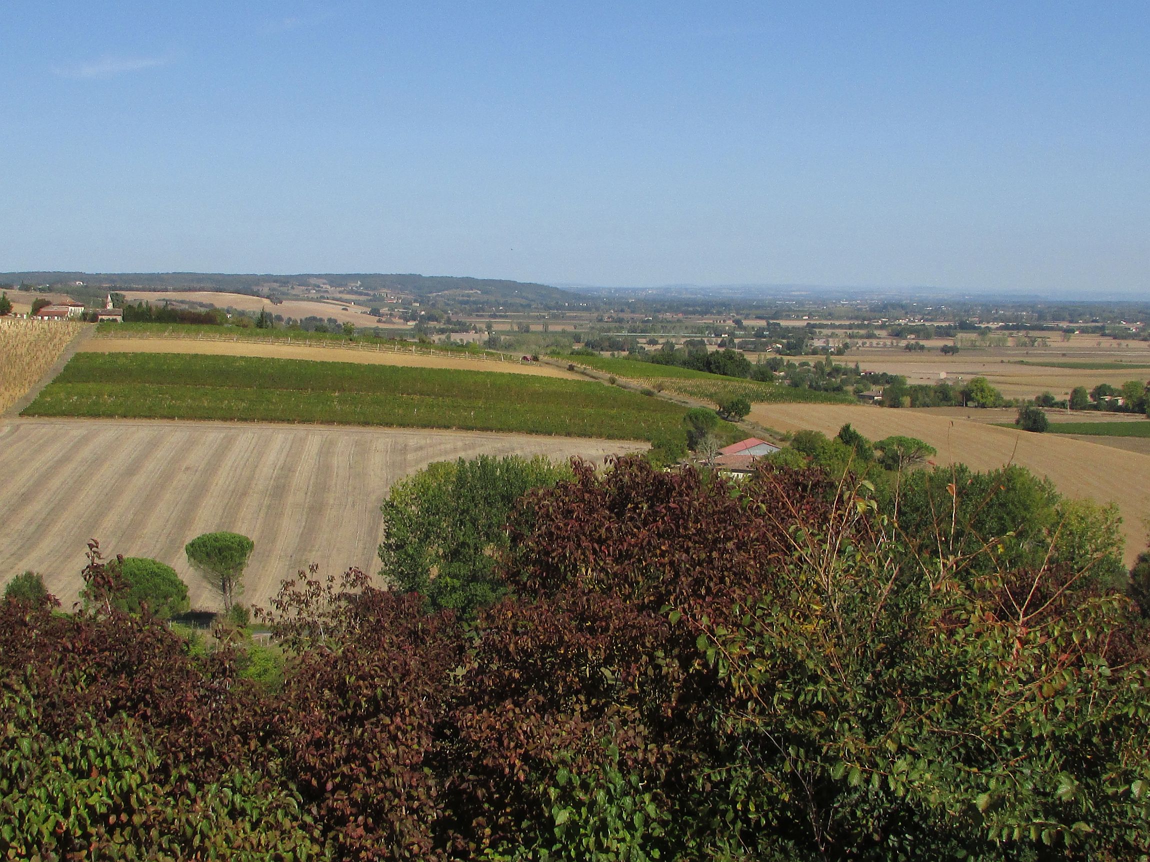 Les coteaux de Lisle - Tarn pleine nature